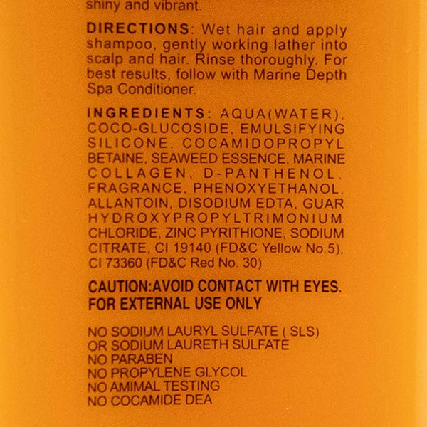 Angel Marine Depth Spa Shampoo 500ml (Dry, Neutral Hair) – HWS Beauty